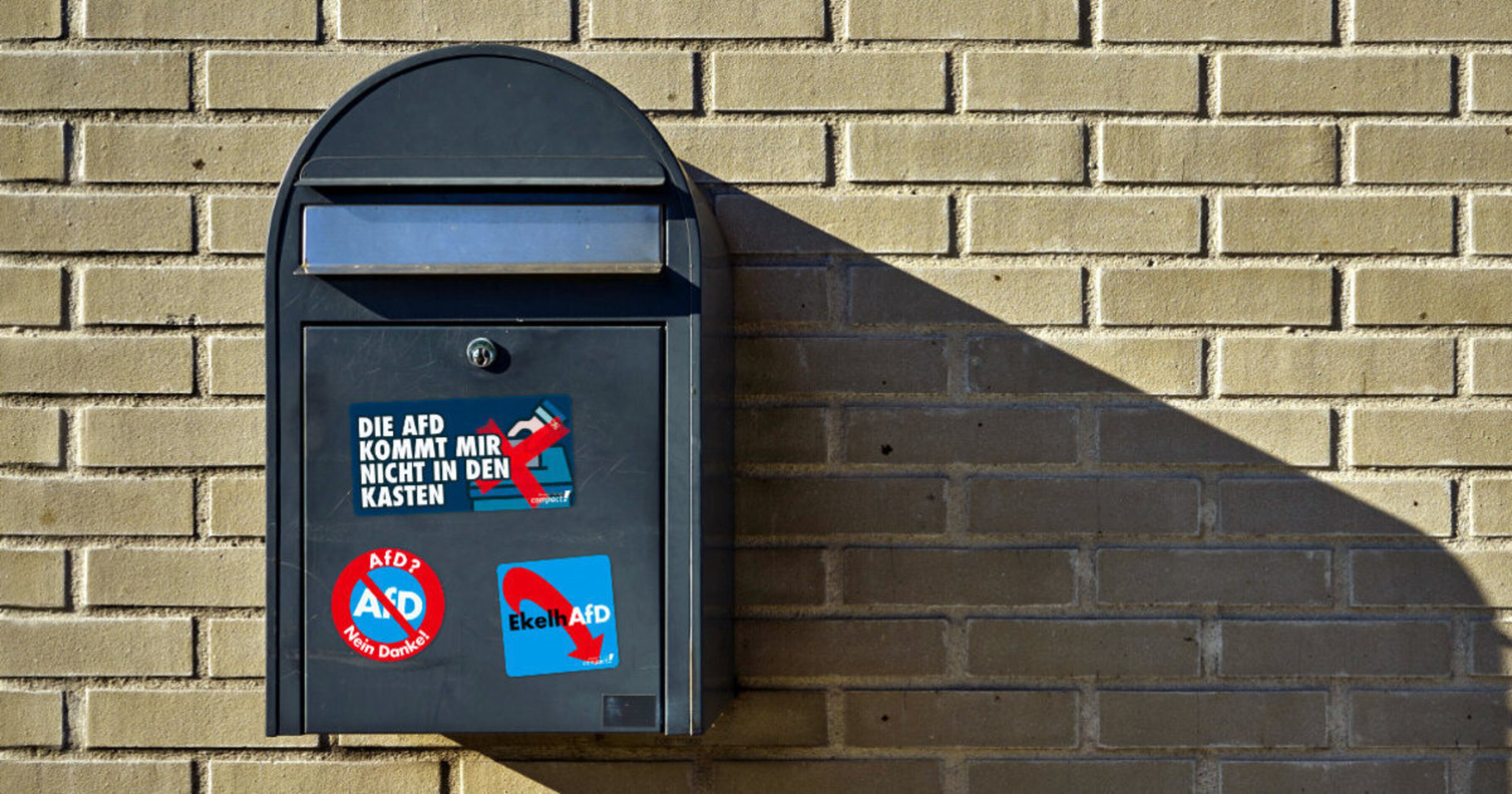 Haltung gegen Rechts | Campact