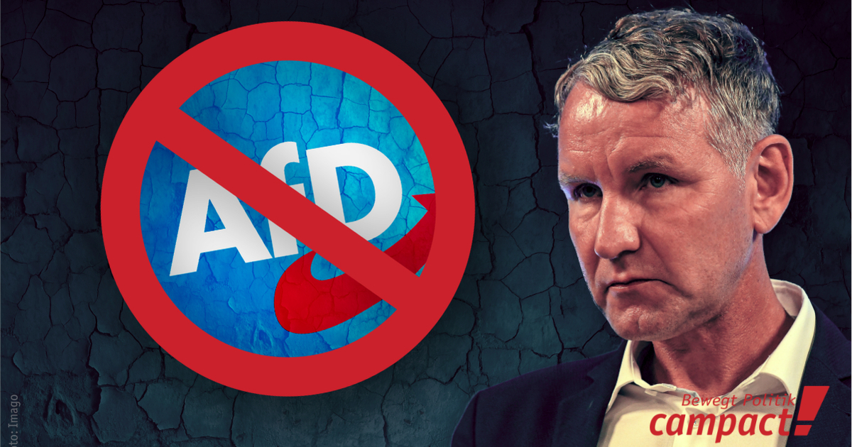 Nach Geheimtreffen: Für AfD-Verbot unterzeichnen! | Campact