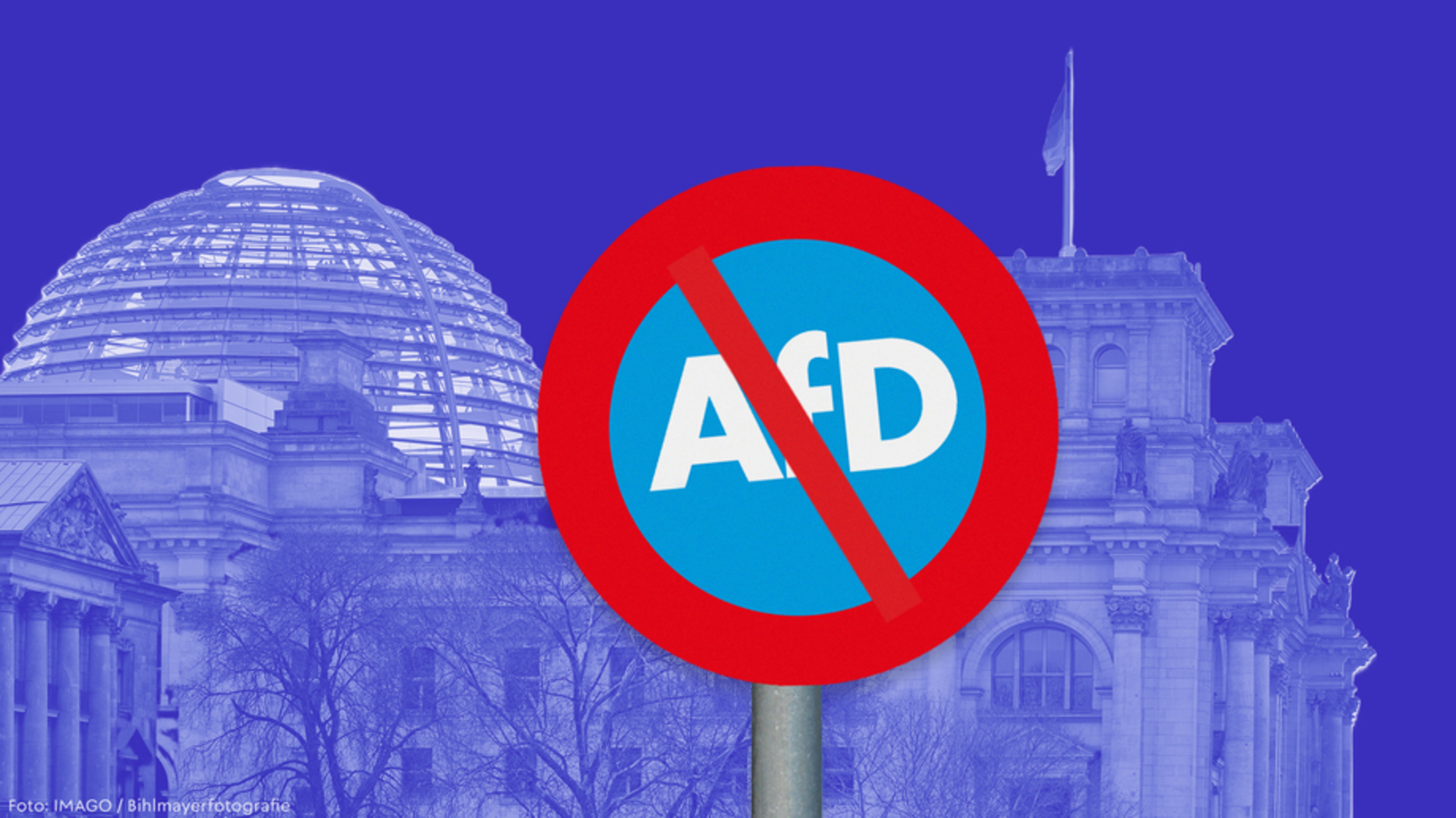 AfD-Verbot jetzt prüfen | Campact